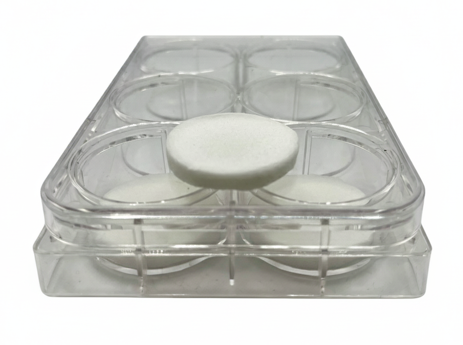 Nexture Bio Sponge Scaffold – Cellbase