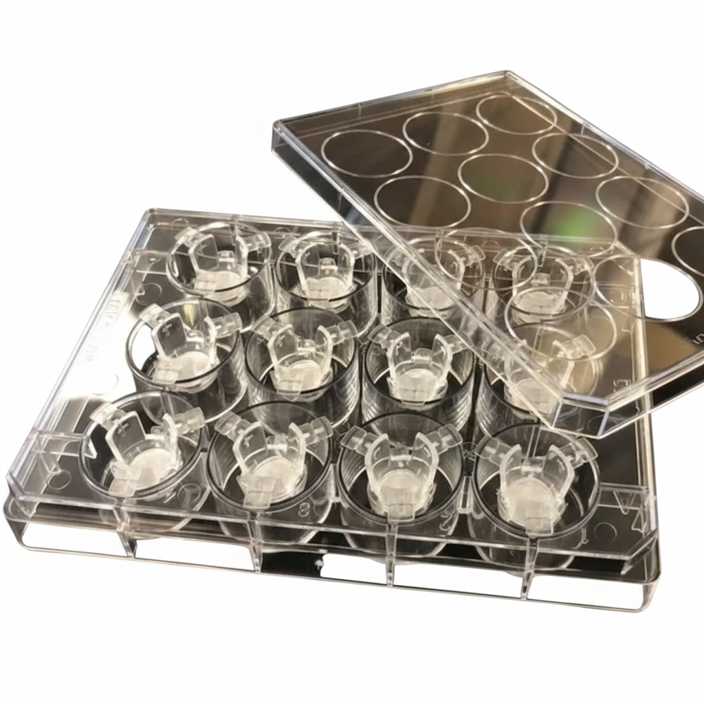 Alvetex® Scaffold 24 Well Inserts – Cellbase